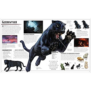 Dungeons and Dragons The Legend of Drizzt Visual Dictionary (Dungeons & Dragons)