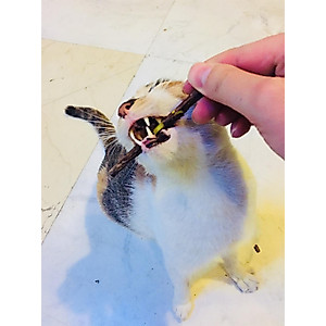 CXP Good Goods Cat Catnip Stick,Silver Vine for Teeth Grinding Chew Toy (26 Pieces)