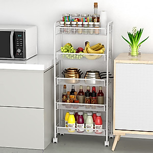 JANE EYRE 5-Tier Rolling Utility Storage Rack Cart on Wheels, Trolley Craft cart, Multi-Purpose Organizer Shelf, White