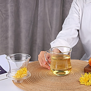 CNGLASS Glass Tea Cup with Removable Infuser and Lid,10oz Thickened Glass Tea Mug,Clear Filtrating Tea Maker for Loose Leaf Tea,Teabags