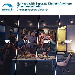 Lightdot 48ft Outdoor Light String with Remote, LED Remote Control String Lights with 16 pcs Dimmable Shatterproof 1W Bulbs, 2200K Commercial Grade Hanging Light for Patio Backyard Christmas Decor