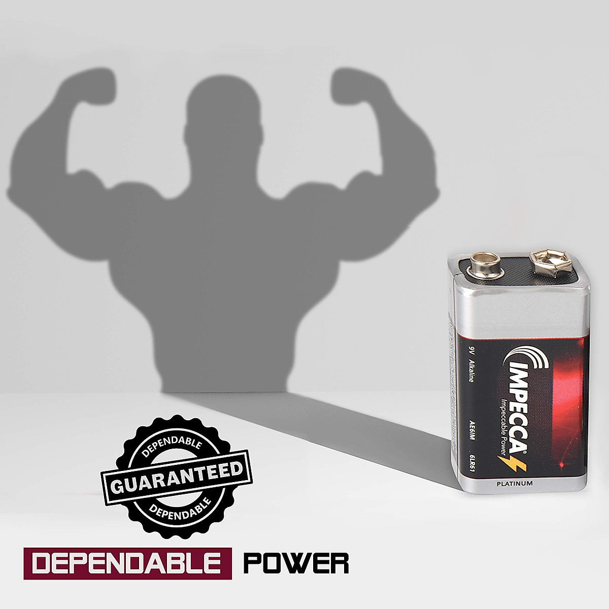 Impecca 9 Volt Batteries, Premium Alkaline (24-Pack) High Performance, Ultra Long Lasting, and Leak-Resistant All-Purpose 9V, 24 Count, 6LR61 - Platinum Series