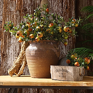 æ— 3 Pack Artificial Pomegranate Branches, 31.5 Inch Faux Rosehip Berries Flower Stem Simulation Long Stem Fruit Bouquet for Garden Home Restaurant Patio Shop Window Decor