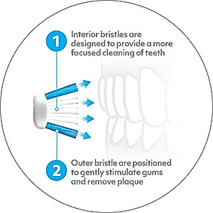 Ooak Toothbrush, Tapered V++Max Medium Bristles, 2 Count (Pack of 1) - Violet