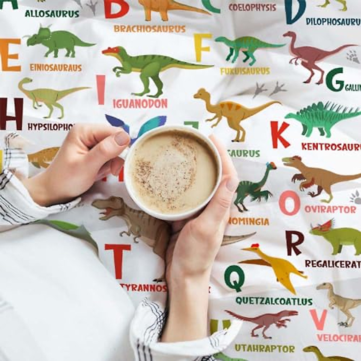 Dinosaur Alphabet Blanket-Dinosaur Blanket for Boys, Girls Dinosaur Gift for Dinosaur Lovers-Cozy Soft Flannel Lightweight and Warm Used for Room Bed Camping 40"x50" for Kids Children