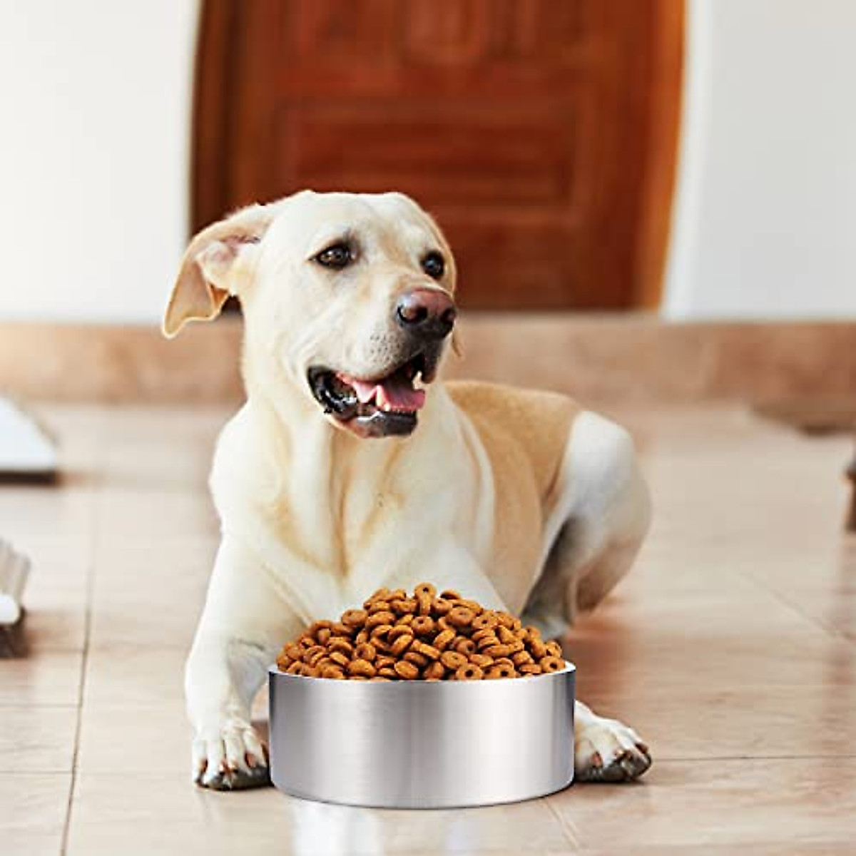 100 OZ Large Dog Water Bowl Stainless Steel Dog Bowls No Spill Heavy Dog Food Bowls with Non-Slip Rubber Bottom Double Wall Insulated Metal Pet Cold Water Bowl Dog Bowls for Large Dogs Outdoor