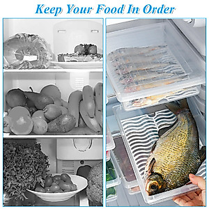 QTLCOHD 8 Pack Large Food Storage Containers with Removable Drain Plate and Lid for Meat Fruits Vegetables Freezer Storage