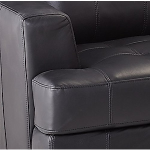 Coaster Samuel Transitional Leather Sofa, Black