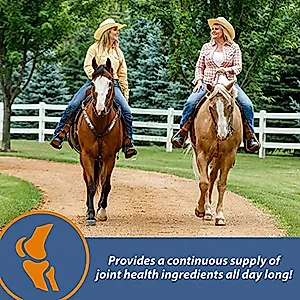 Farnam MaxFlex XR Extended Release Joint Supplement for Horses, Provides a continuous supply of joint health ingredients for 24 hours, 0.9375 pound, 30 Day Supply