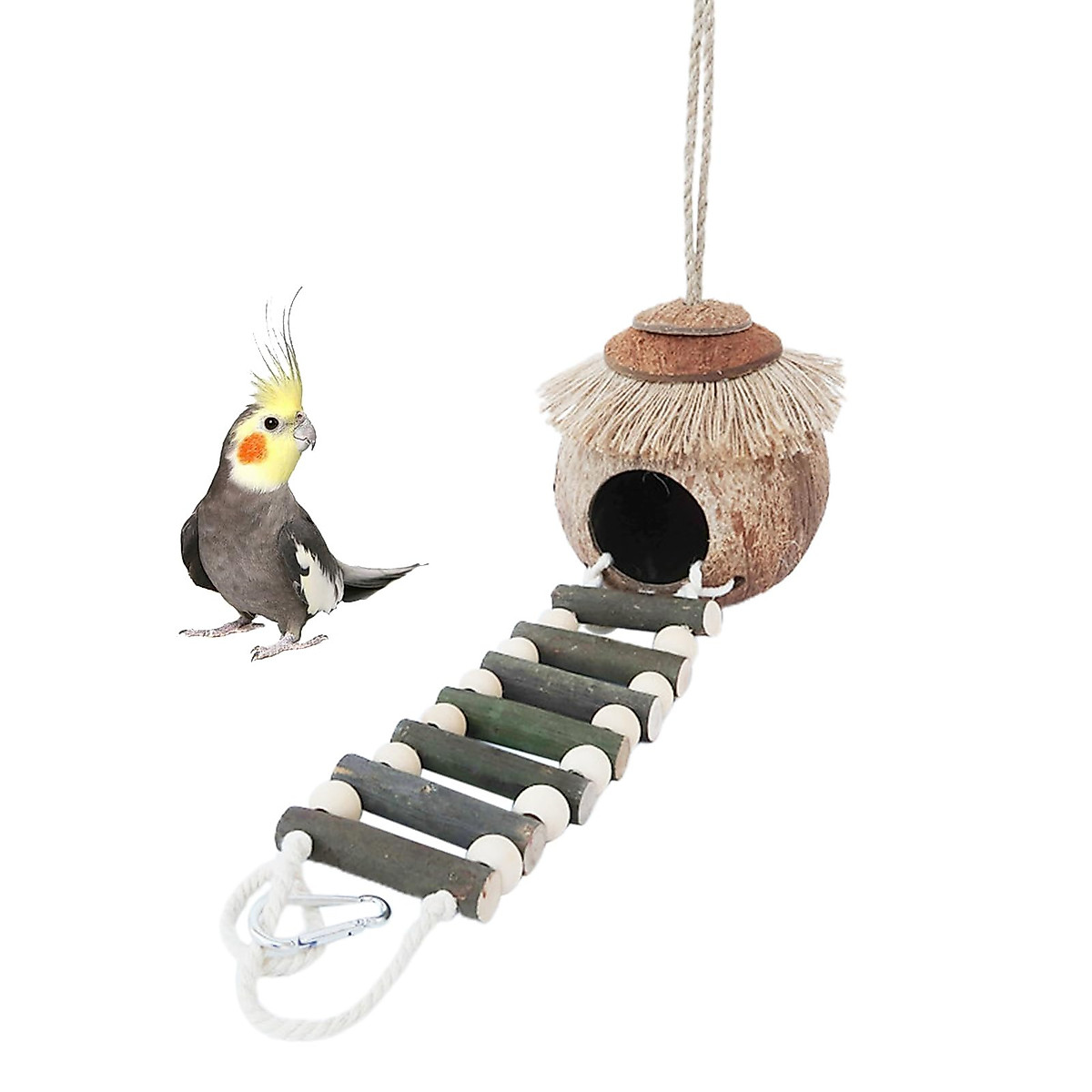 NOTRAK Natural Coconut Bird Nest, Coconut Hide, Cute Nest with Ladder for Home, Coconut Bird Shell Breeding Nest for Home, Garden, Yard, Universal Bird Hut with Rope for Birds, Reptiles and Mammals