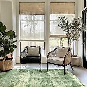 EVERGRACE Area Rugs for Living Room 5x7, Boho Abstract Faux Wool Indoor Outdoor Rugs, Washable Rugs for Bedroom Dining Room Entryway Kitchen, Low Pile Floor Mat Carpet for Home Decor, Sage Green