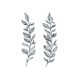 Vine Leaves (Set of 2) - Leaf Temporary Tattoo