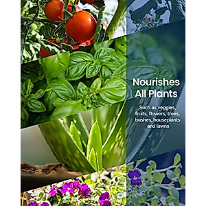 iDOO Indoor Plant Food (400ml in Total), Water Soluble All-Purpose Concentrated Fertilizer for Hydroponics System, Potted Houseplants