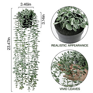 Sggvecsy Artificial Hanging Eucalyptus Plants Fake Hanging Plant 2 Pack Fake Potted Hanging Greenery Potted Hanging Eucalyptus for Home Indoor Outdoor Wall Garden Wedding Decor