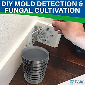 ES EVVIVA SCIENCES Prepoured Black Potato Dextrose Agar Plates – Includes Both Black Dye & Charcoal - Enhanced Culture Visualization - Excellent Growth Medium - Great for Mushrooms & Science Projects