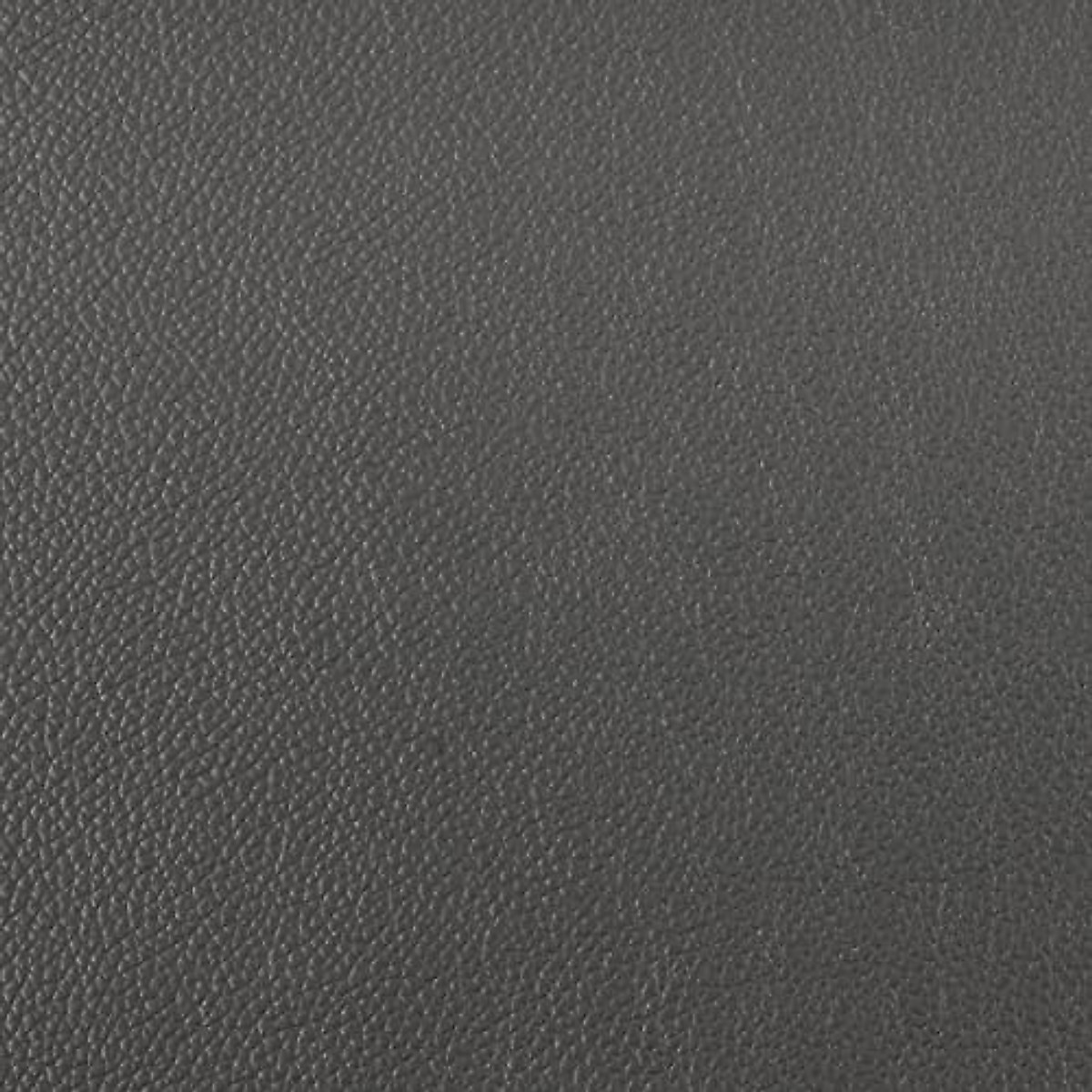 Lexicon Danica Top Grain Leather Loveseat, Dark Gray