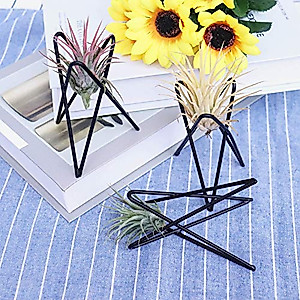 Pack of 4 Air Plant Holder Tillandsia Base, Modern Geometric Metal Air Plant Stand Airplant Display Rack, Tabletop Big Streptophylla Plant Display Table Hand for Home Office Decoration Supplies
