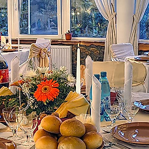 Taper Candles ,Tapered Candlesticks - Dripless 10 Inch Ivory Candles , Unscented Tall Dinner Candle, Long 8 Hour Burning Household Candles , 10 Pack