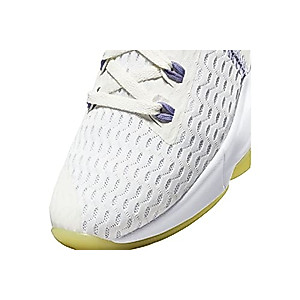Nike Lebron Witness CQ9380-102 Mens Basketball Shoes (Summit White/MTLC Bronze)