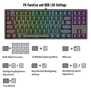 1ST PLAYER TKL RGB Gaming Mechanical USB Wired Keyboard DK5.0 LITE with Cherry MX Blue Switches Equivalent, Compact 87 Keys Tenkeyless LED RGB Backlit Computer Laptop Keyboard for Windows PC Gamers