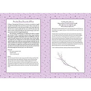 Modern-Day Witch Calendar 2024 Wheel of the Year 17-Month Planner (The Modern-Day Witch)