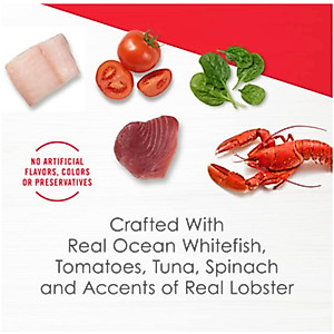 Fancy Feast Broths for Cats Variety Pack Bundle / 12 Pouches Total /2 Cat Nip Mouse Toys & Your Lifestyle Merchant Measuring Spoon