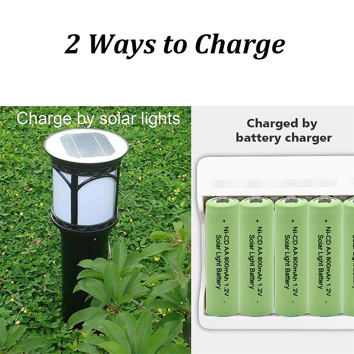 QBLPOWER Ni-CD AA 800mAh 1.2V Rechargeable Battery for Solar Outdoor Lights Lamp Garden Yard Lawn(8 Pieces)