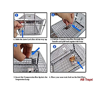 AB Traps Quality Live Animal Humane Trap Catch and Release Rats Mouse Mice Rodents Cage - Voles Squirrel and Similar Sized Pets Safe and Effective | Size Small