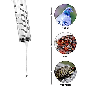 PDZZZD Bird Feeding Syringe Baby Bird Formula Feeding Tube