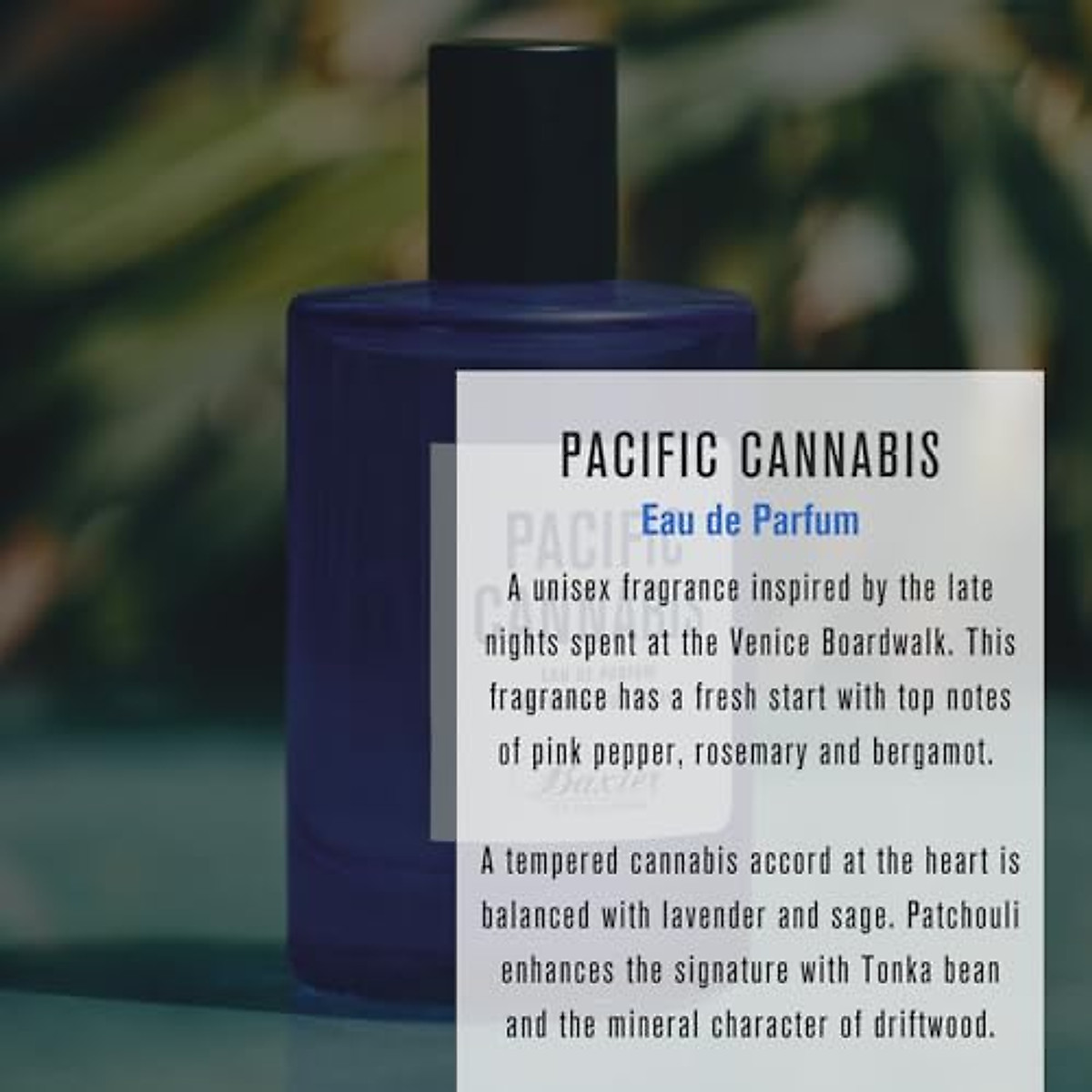 Baxter of California Pacific Cannabis Eau de Parfum Fragrance for Men | Holiday Gift Guide