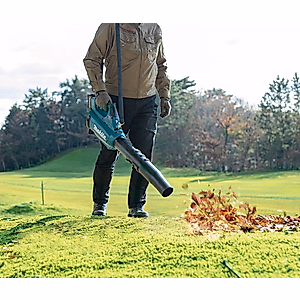 Makita UB001GZ 40V Max Li-ion XGT Brushless Blower – Batteries and Chargers Not Included Blue