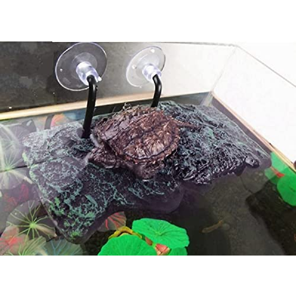Minidiva Turtle Basking Platform Resting Terrace Aquarium Ornament