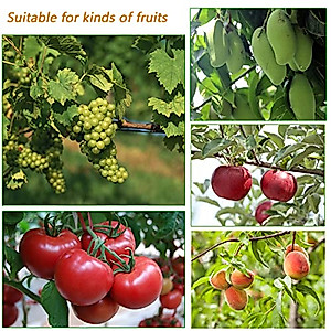 Miuezuth 100PCS Fruit Protection Netting Bags for Fruit Trees, 11x8 Inch Garden Mesh Barrier Bags to Protect Plants from Pest Birds Squirrels, Fruit Cover Mesh Bag with Drawstring, Reusable, Green