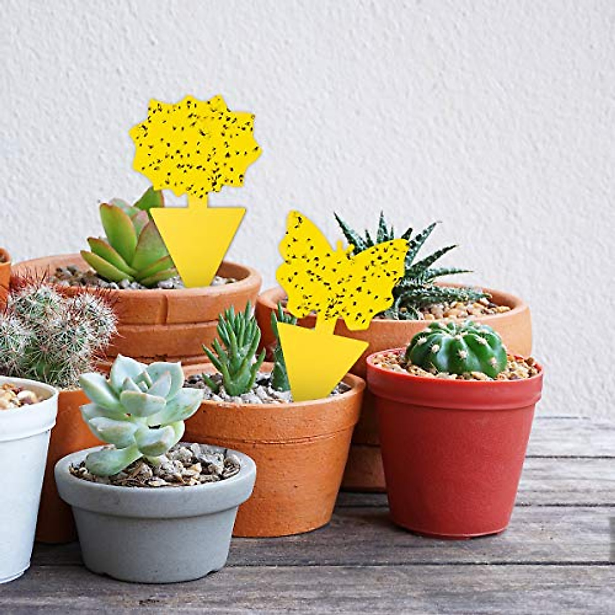50 Pack Yellow Sticky Traps for Indoor Outdoor House Plant Flying Insect Catcher Like Fungus Gnats, Whiteflies, Aphids, Thrips, Other Flying Plant Insects
