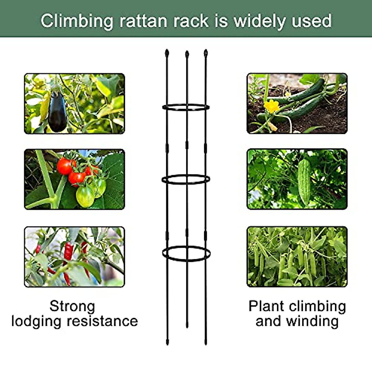 MIXXIDEA 2 Packs Garden Trellis for Climbing Plants Outdoor and Indoor - 48-Inch Garden Obelisk Trellis Adjustable Metal Trellis for Tomato Plant Support