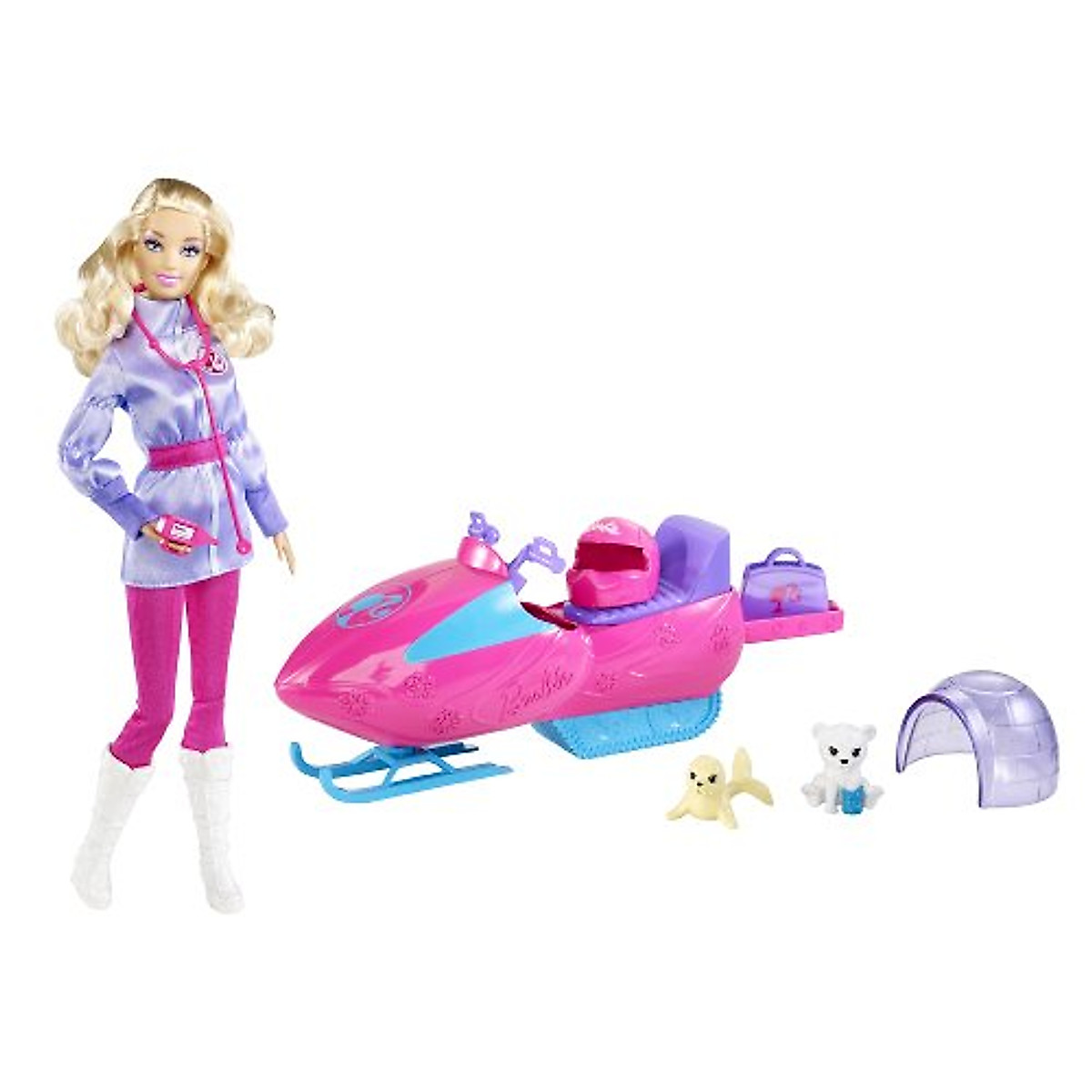 Barbie I Can Be Arctic Rescuer Playset