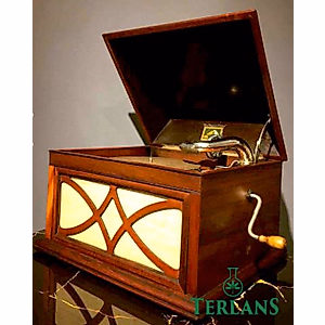 TERLANS Shellac Liquid Blonde 3.38 fl oz (100 ml) Antique Varnish for Musical Instruments and furnitures