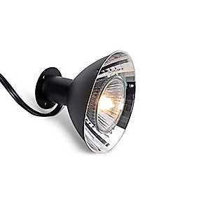 CAROLINA CUSTOM CAGES 75w GU10 Halogen Reptile Basking Bulb