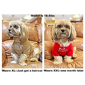 Cute Dog Clothes,Dog T Shirt for Medium Dogs.Dog Clothes for Small Dogs Girl Boy,Puppy.Breathable Soft Dog Costume Pet Dogs Cats,Pet Pullover Jumper,Cat Clothes (S-(4~8lb), Chest~14", Khaki)