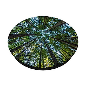 Nature Giant Redwood Trees PopSockets PopGrip: Swappable Grip for Phones & Tablets