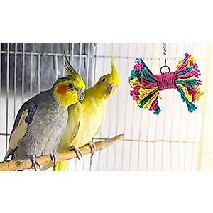 Sweet Feet and Beak Chew Popper Bird Foraging Toy - Toys for Bird Cages - Tough Plastic Pet Toy - Foraging Toys for Parrots, Cockatiels, Lovebirds, Budgies & Other Birds - Bird Accessories (Small)