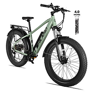 HILAND Electric Mountain Bike for Adults, 750 Watt 48 Volt Motor Off Road Electric Bicycle, Mens 26" 4.0 Fat Tire E-MTB High Speed 40km/h Bike