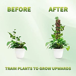 EOX 4 Pcs 24 Inch Plastic Moss Pole for Plants Monstera, Climbing Plants, Plant Support for Indoor Plants Work with Sphagnum Moss