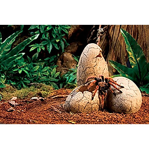 Exo Terra Dinosaur Egg Fossil Ornament