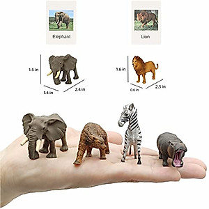MIKNEKE Montessori Animal Figures with Flash Cards, Realistic Animal Figurines Toys, Montessori Materials Homeschool Preschool Science Educational Matching Game for Toddler Kids (Zoo)
