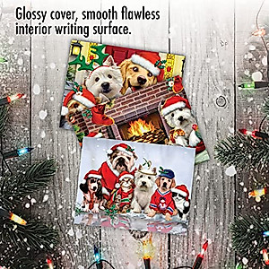 The Best Card Company - Variety Pack of 20 Christmas Greeting Cards with Envelopes, Humor Holiday Assortment for Men and Women (10 Designs, 2 Each) Merry Christmas to Zoo AM6652XSG-B2x10