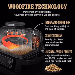 Ninja OG701 Woodfire Outdoor Grill, 7-in-1 Master Grill, BBQ Smoker, & Outdoor Air Fryer plus Bake, Roast, Dehydrate, & Broil, Woodfire Technology, with Robust Pellets