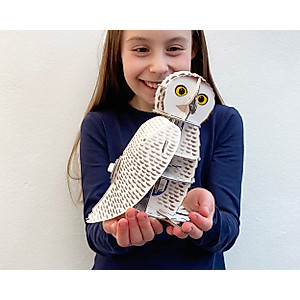 Build Your Own Moving Snowy Owl - Rotating Head Action - Eco Friendly Cardboard Craft Kit - Ages 8+