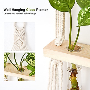 Mkono Wall Hanging Glass Planter with Macrame Hanger, Boho 2 Tier Propagation Tube Vase Plant Terrarium with Wooden Stand for Propagating Hydroponic Plants, Home Office Room Decor Women Gift Idea