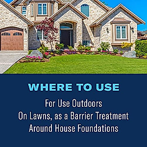 BioAdvanced 24 Hour Lawn Insect & Fire Ant Killer, Granules, 20 lb